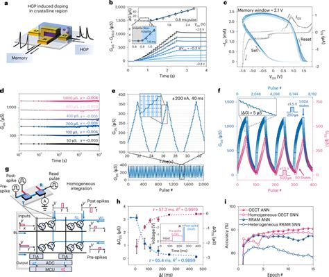 Non Volatile Synaptic Behaviour And Nns A Schematic Of The Cv Oect Download Scientific Diagram