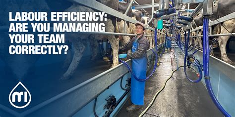 Labour Efficiency Are You Managing Your Team Correctly Homepage