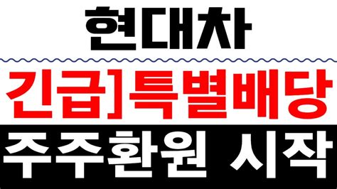 현대차 기아 주가전망 현대차 긴급 특별배당 주주환원 시작 L 기아주가전망 현대차주가전망 기아주가 현대차주가 기아목표가 현대차목표가 주주밸류업프로그램 Youtube