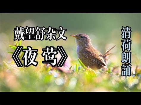 清荷朗诵戴望舒杂文夜莺 YouTube