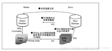 mysql复制 主从复制配置 mysql主从复制配置 CSDN博客