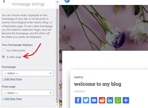 How To Use Wordpress Theme Customizer Ltheme