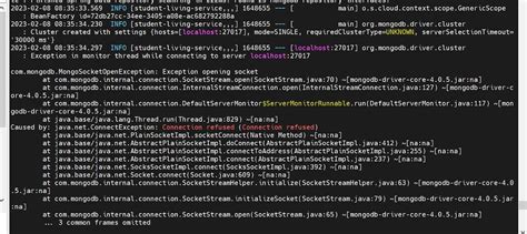 Unable To Connect To Mongodb Atlas Cluster From Springboot Application
