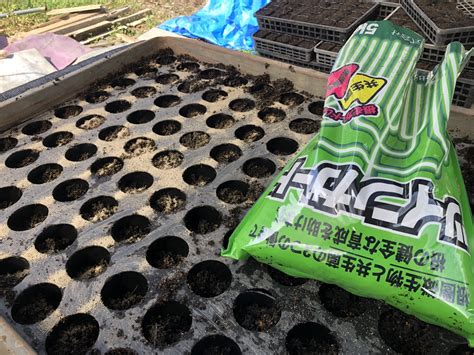 ツインガード いちご名人株式会社大雅