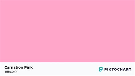 What Color Is Carnation Pink Meaning Code And Combinations