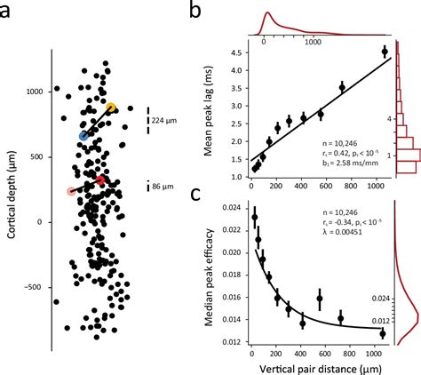 Figures And Data In Functional Interactions Among Neurons Within Single Columns Of Macaque V1