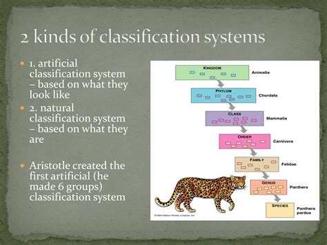 Ppt Biology B Powerpoint Presentation Free Download Id661519