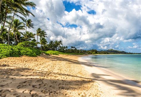 15 Best Beaches In Oahu The Crazy Tourist