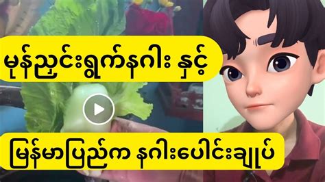 မုန်ညှင်းရွက်ကို နဂါးတဲ့ တော်တော်ဆိုးနေပြီ နဂါး Nagar Youtube