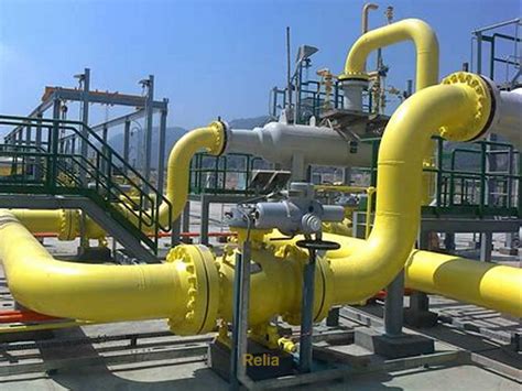 Api Standard Relia Valve