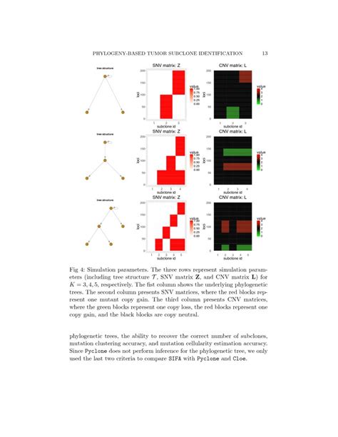 Phylogeny Based Tumor Subclone Identification Using A Bayesian Feature