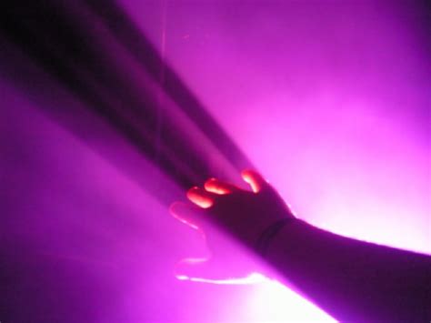 Fucking Mouses Music Profile Last Fm