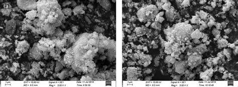 A SEM Image Of CdS B SEM Image Of CSS Download Scientific Diagram