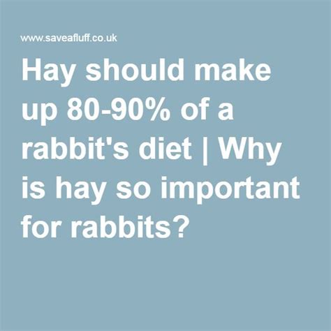 Hay Should Make Up 80 90 Of A Rabbits Diet Why Is Hay So Important