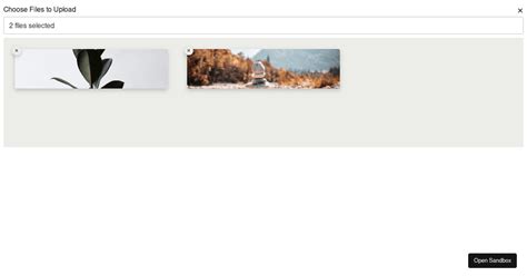 File Upload With Preview Package Example Forked Codesandbox File Upload With Preview Package Example Forked Codesandbox