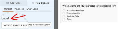 How To Customize The Multiple Choice Field In WPForms