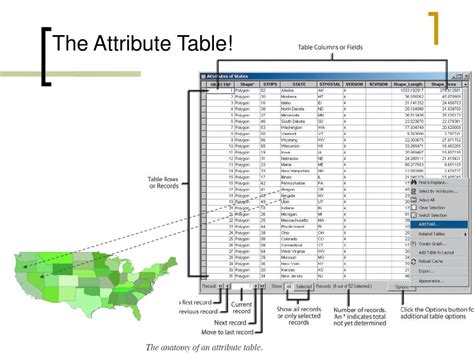 ppt the attribute table powerpoint presentation free download id