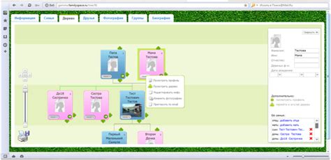 Создать генеалогическое древо сформировать родословное древо Cемейное древо