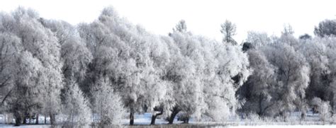 Download Snow Full Size Png Image Pngkit
