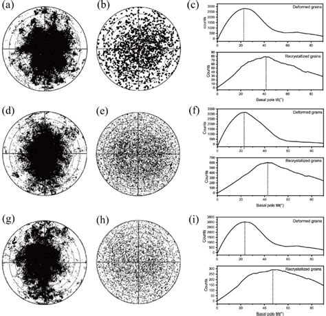 0001 Pole Figure Of Deformed Grains In A R1 D R2 And G R3 0001 Download Scientific
