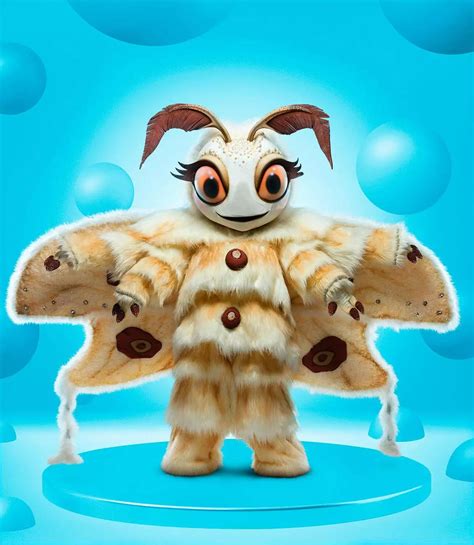 Poodle Moth And Clock Rthemaskedsinger