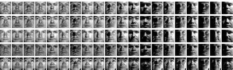 1 Sample Images From The Extended Yale B Dataset The Averaged Results