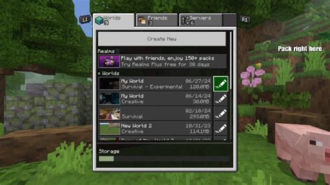 About Behavior Packs Rminecraft