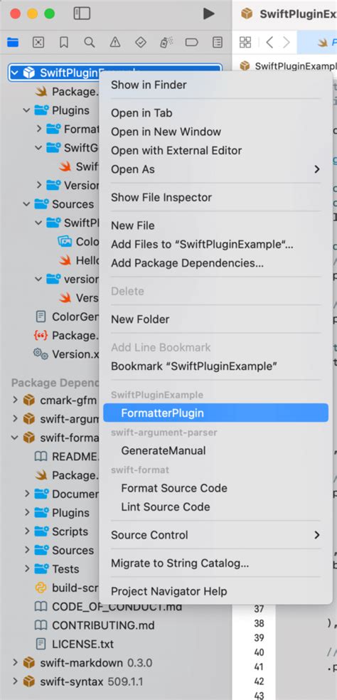 Swift Package Manager Plugins 教學 Waynes Talk