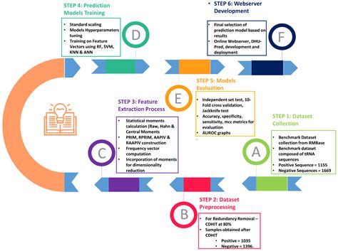 Dhu Pred Accurate Prediction Of Dihydrouridine Sites Using Position