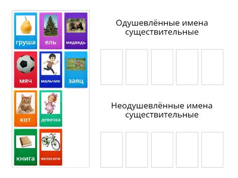 Имена существительные Одушевлённые и неодушевлённые Групповая сортировка
