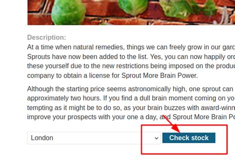 Os Command Injection Xpnts Blog