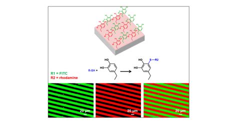 Photolithography Mediated Area Selective Immobilization Of Biomolecules