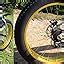 Amazon.com : Shimano MF-TZ31 Tourney Freewheel (14-34T Mega 7 Speed ...