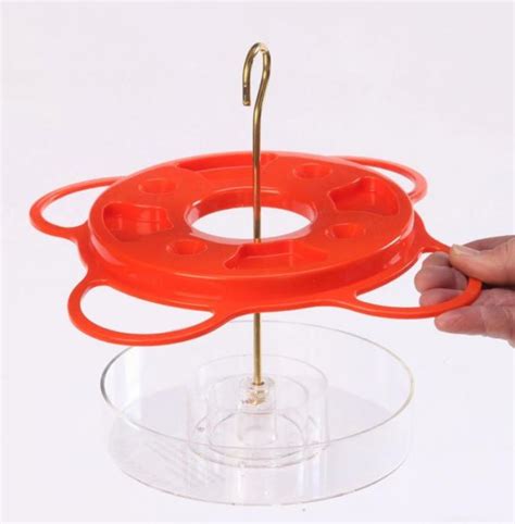 Oriolefest Oriole Bird Feeder For Oranges Jelly And 12 Oz Nectar Backyard Chirper