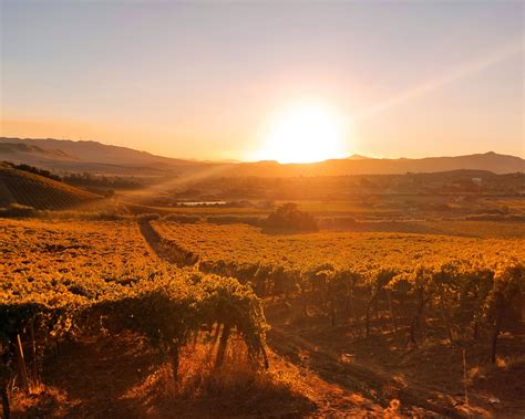 Muffoletto Centopassi