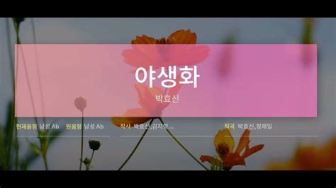일반인 아저씨 노래방 야생화 박효신 Youtube