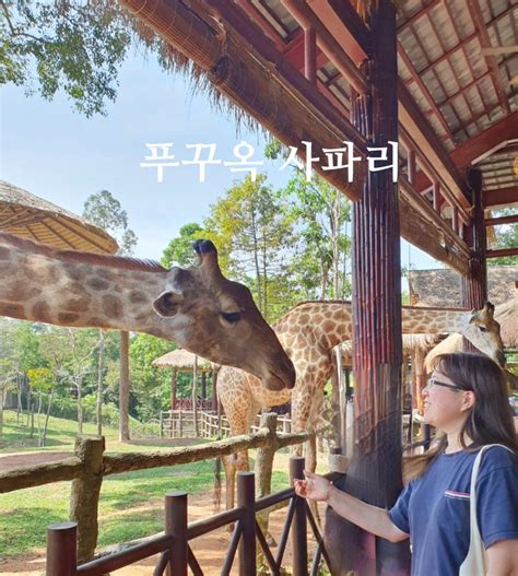 베트남 가족여행지 푸꾸옥 자유여행 푸꾸옥 빈펄 사파리 입장권 트램 버스 네이버 블로그