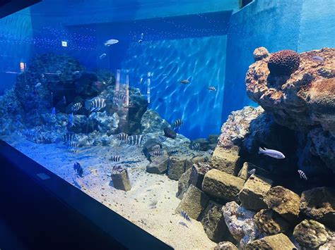 公共施設一覧 箱根ユニバーサルツーリズム