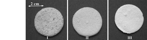 Morphological Appearance Of Scaffolds With Defined Diameter Of Pores I Download Scientific