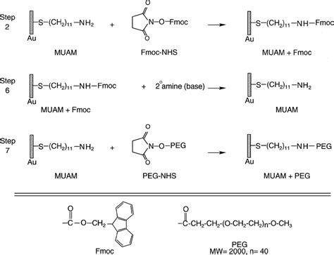 surface reaction scheme showing the steps involved in the reversible