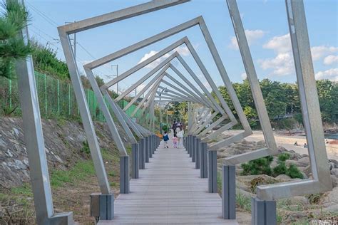 강원 동해시 대진 해수욕장 등 여행지