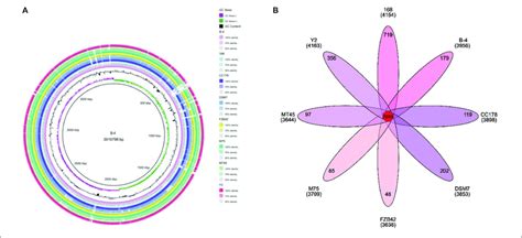 Comparative Genome Analysis A Comparative Circular Genome Map The