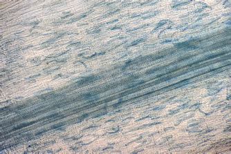 What Are These Structures In The Roots ResearchGate