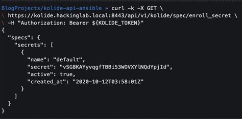 Demystifying The Kolide Fleet API With CURL Python Fleetctl And Ansible HoldMyBeer