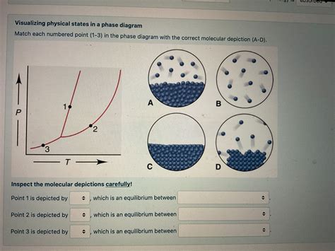 Answered Visualizing Physical States In A Phase Bartleby