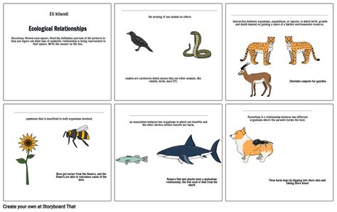 Determining Ecological Relationships Storyboard