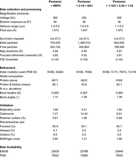 Cryo Em Data Collection And Refinement Download Scientific Diagram