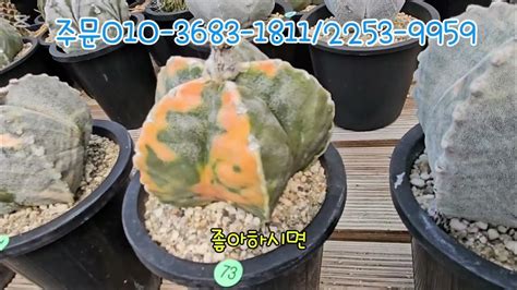 특별한 날~ 특별한 아이들~특가~ㅎㅎ Youtube