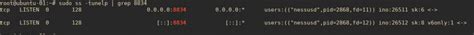 Install Nessus Scanner On Ubuntu ComputingForGeeks