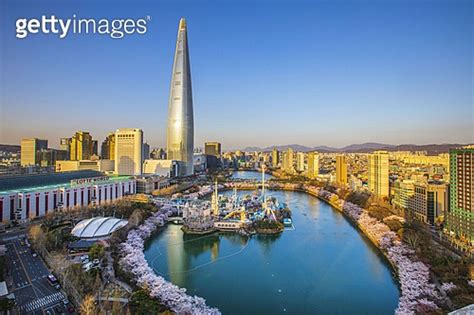 하이앵글 오후 벚꽃 놀이기구 롯데월드 롯데월드타워 석촌호수 송파구 서울 이미지 A12601139 게티이미지뱅크
